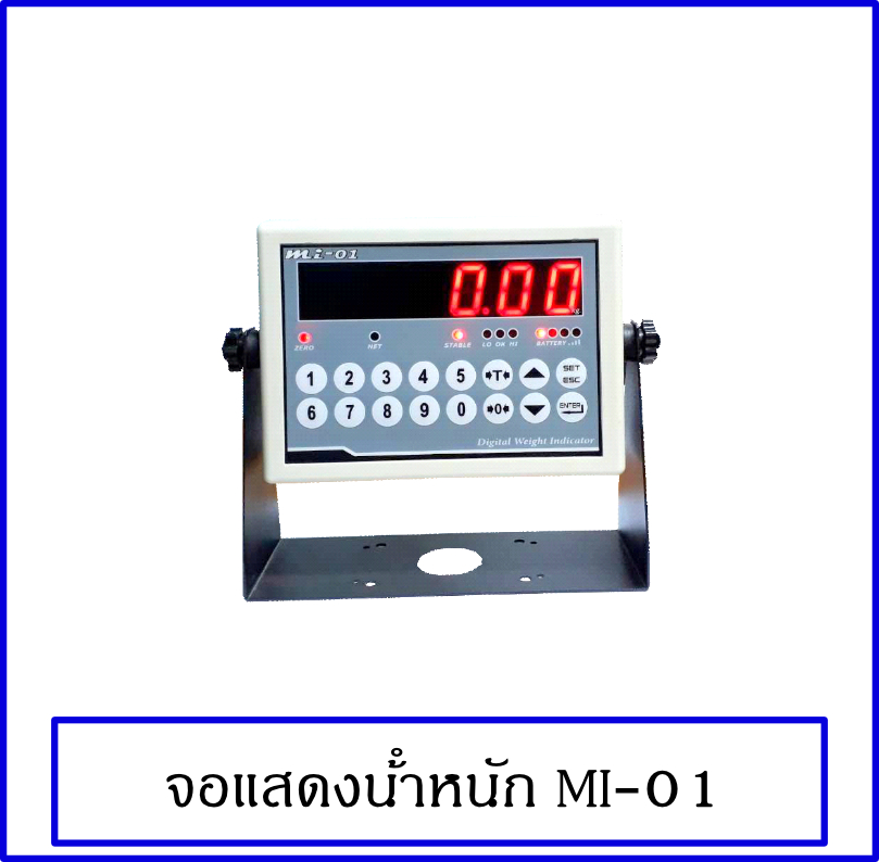 WEIGHT INDICATOR « Linear Instrument Ltd.,Part.